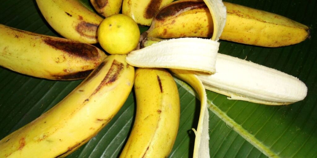 Rahasia Pisang Ambon Manfaat Tak Terduga Untuk Kesehatanmu! - MerahMaron